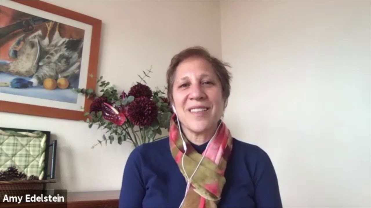 OMD Nov 8 2020 with Amy Edelstein - YouTube