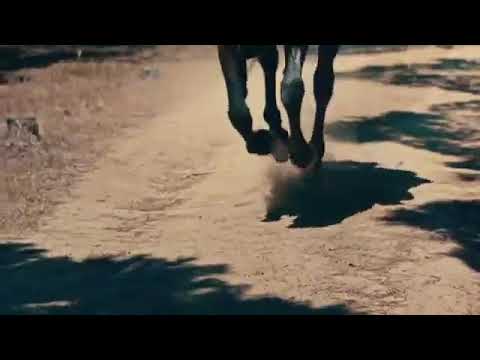 Selçuk Balcı Ayrılamam zil sesi