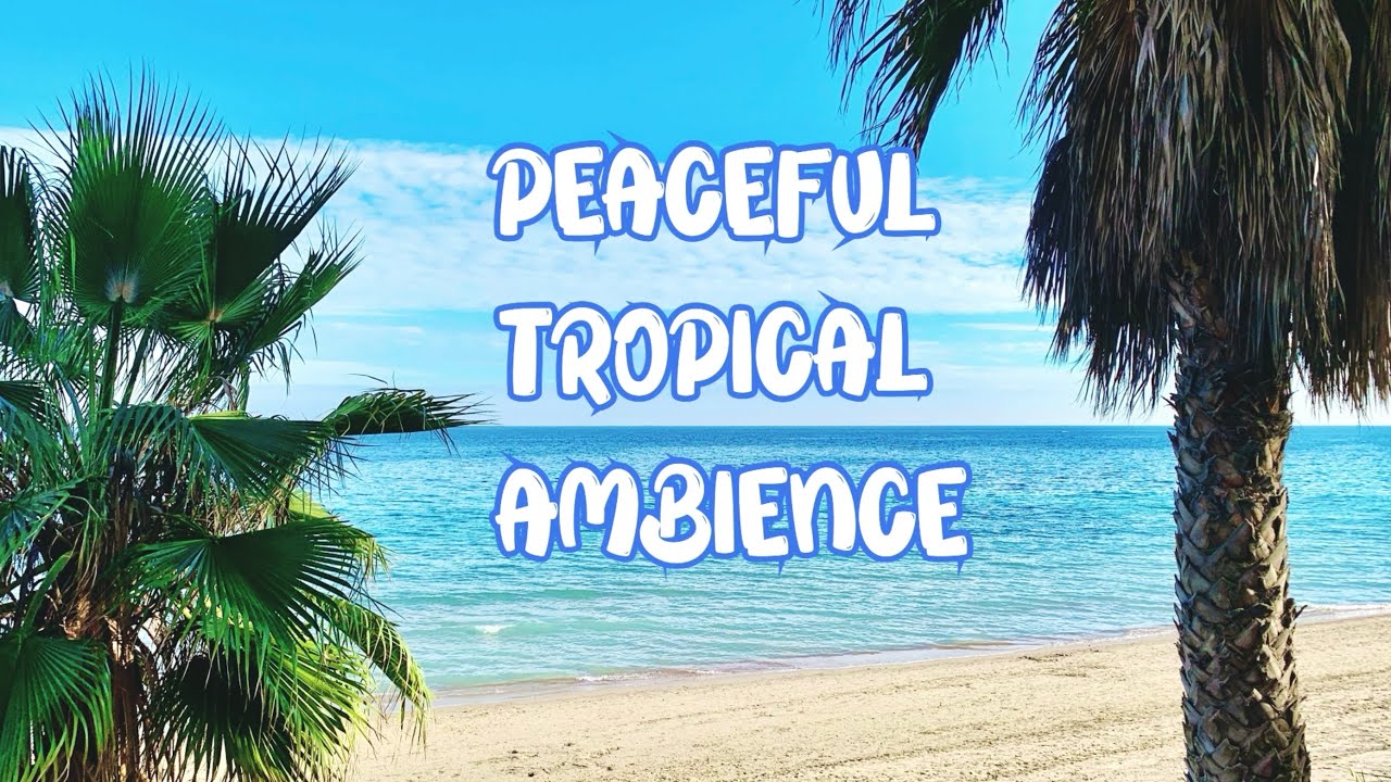 😴PEACEFUL TROPICAL AMBIENCE FOR A DEEP SLEEP. TOTAL RELAXATION BY THE ...