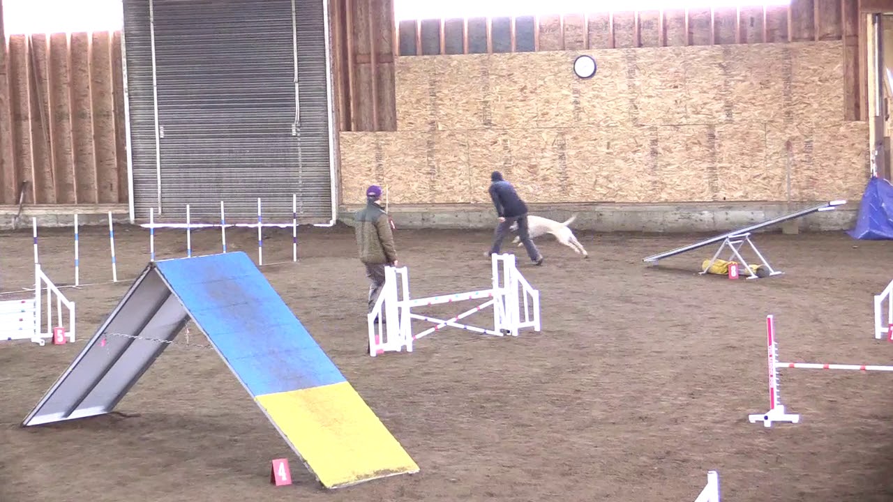 20 XANDER KARSTEN SUN EXC STND SAC 4 8 2018 26 - YouTube