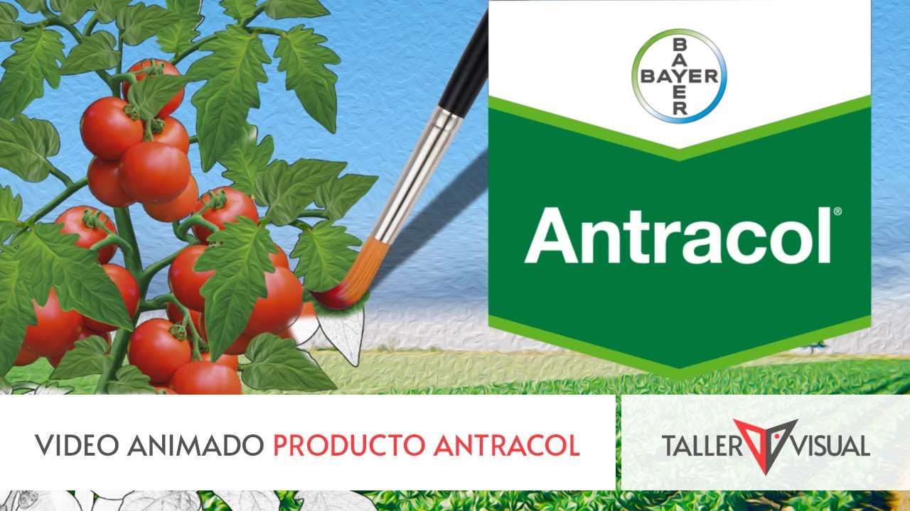 Antracol - Bayer - Animación - YouTube