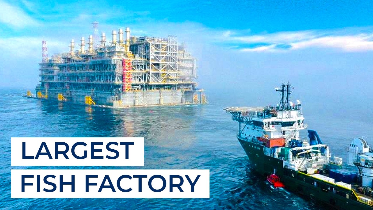The World's LARGEST Floating Fish Factory - YouTube
