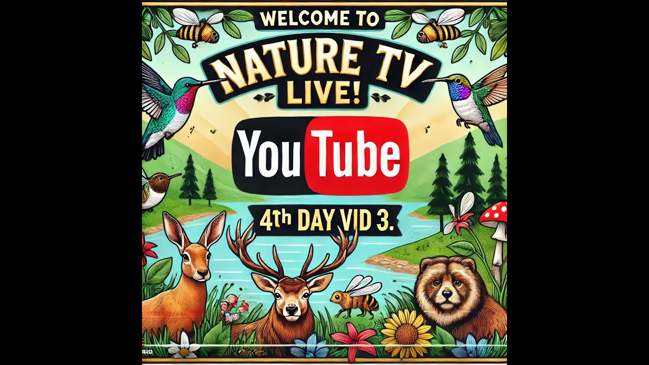 "Welcome to Nature TV Live! (4th Day.) Vid 3 - YouTube
