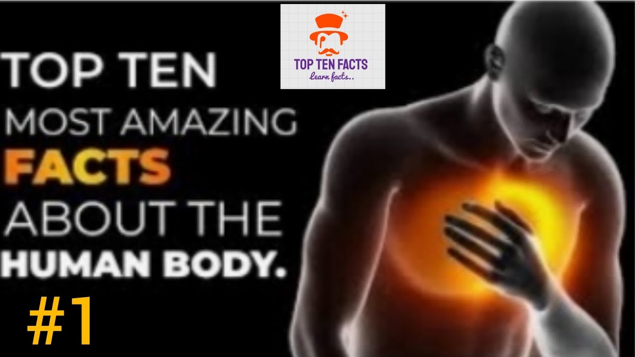 Top 10 Facts About Human Body In Tamil FACTS SERIES 1 TOP TEN FACTS top-10-facts-about-human-body-in-tamil-facts-series-1-top-ten-facts
