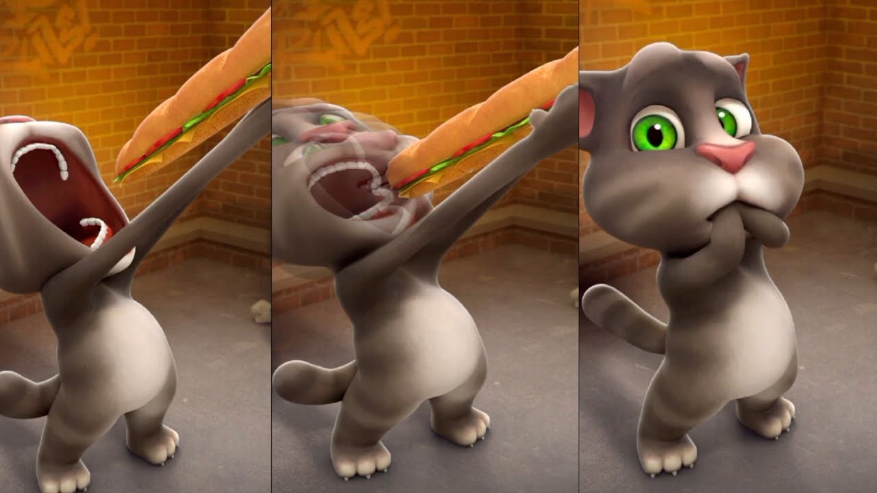 Talking tom funny video funny cat #shorts #2| Talking tom and his ...