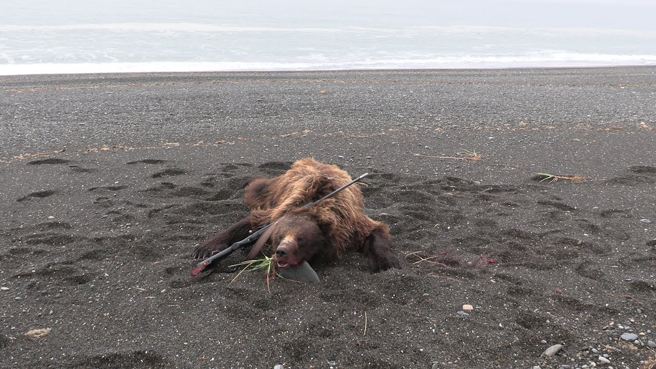 Mežā un medībās ar Raimo Jansonu - YouTube