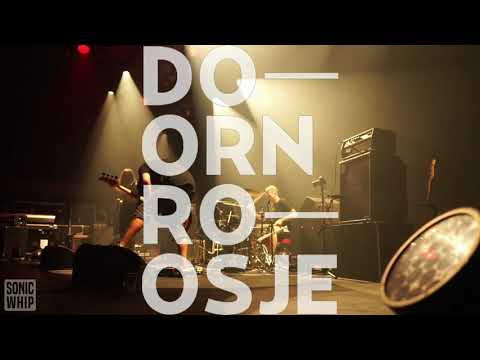Bismut - Retrocausality releaseshow promo - YouTube
