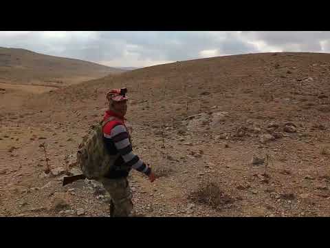 Tavşan Avı HD Video #rabbithunt #oxota #hunting #hunterxhunter  #carp #automobile 👍Cengiz Gök 👍
