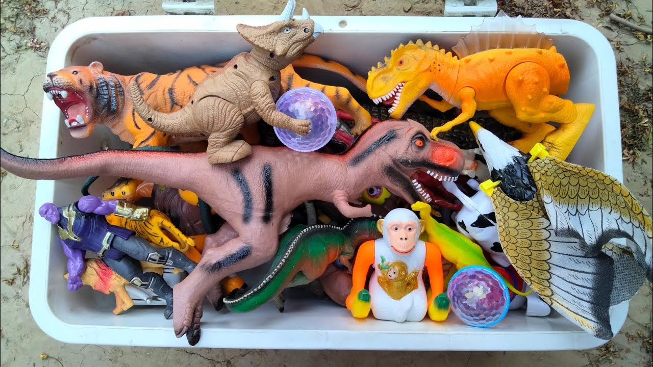 Zoo animals Box Find Cow dog cat horse lion tiger camel sheep elephant ...