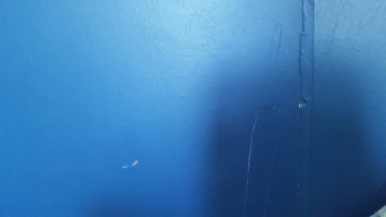 WONDER PETS SAVE THE KANGAROO(2) - YouTube