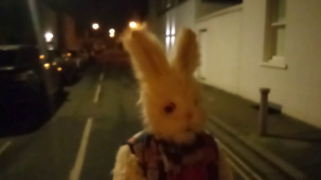 Barnes White rabbit on 1st Jan 2020 - YouTube