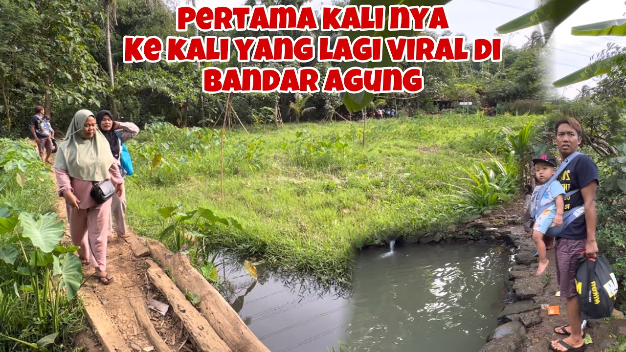 WISATA DI PERSAWAHAN - YouTube