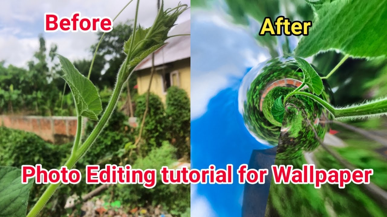 Photo Editing tutorial || Wallpaper editing || Nature Photography ...