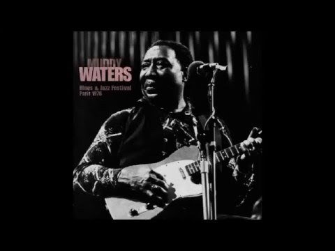 Muddy Waters : Blues & Jazz Festival, Paris, France,  11, 7, 1976.