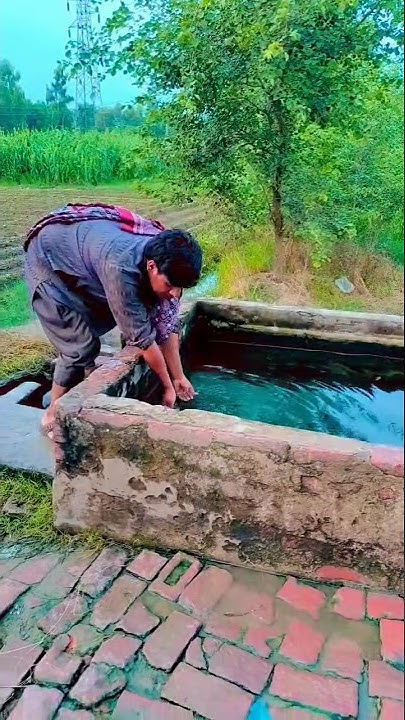 enjoy village farm pind Aly Pendu Vlog khady men - YouTube