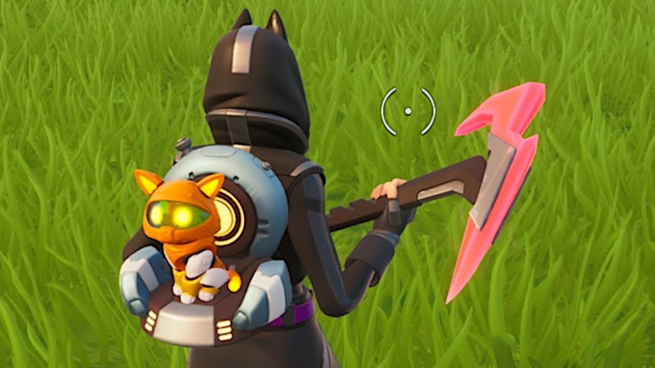 I carry Kyo pet in Fortnite | mircic91 GAMES - YouTube