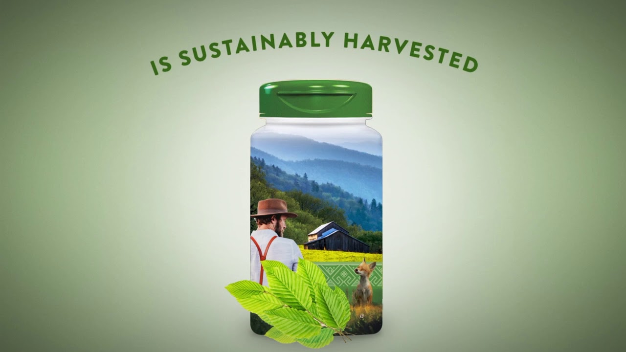 Nature's Way Slippery Elm Bark Herb Origin Story - YouTube
