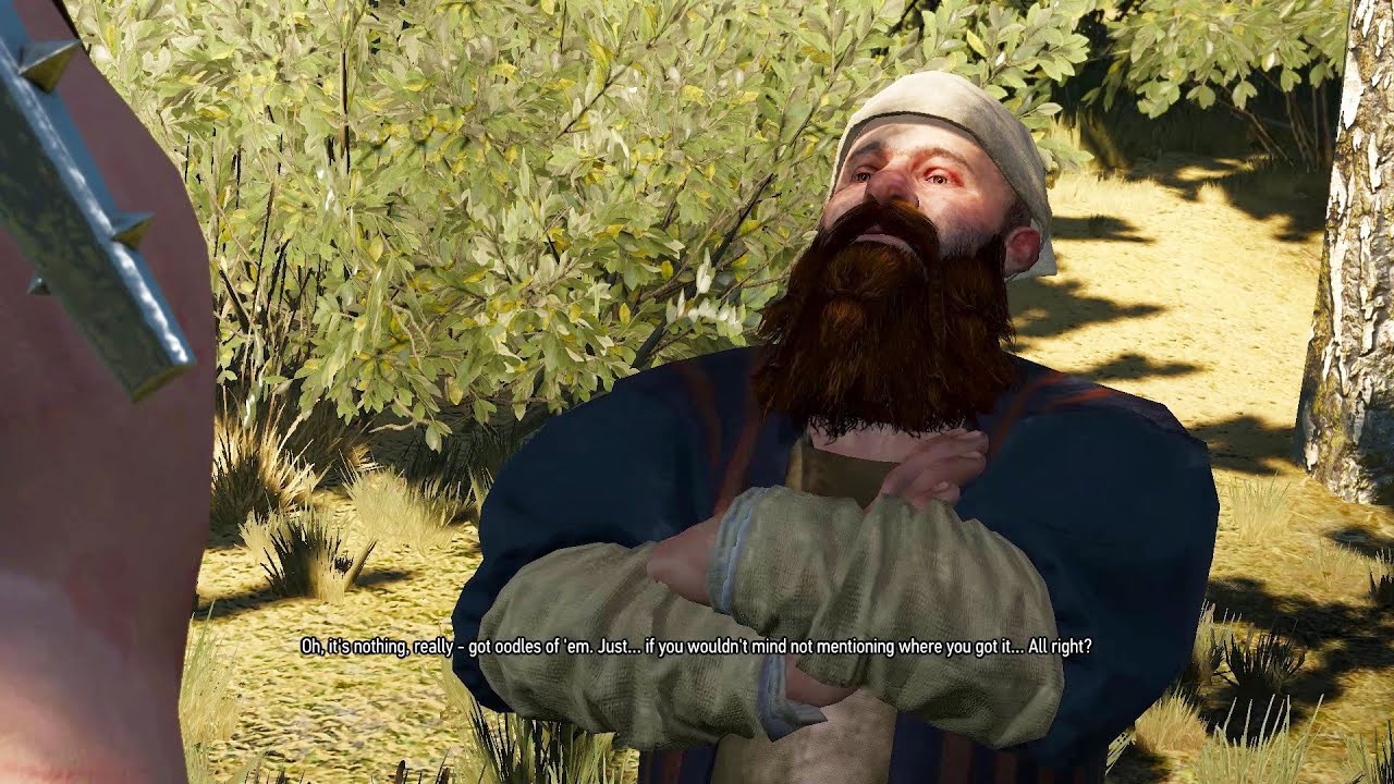 Witcher 3 - New Game+ - Part 71 - Painting of Hierarch Hemmelfart - YouTube