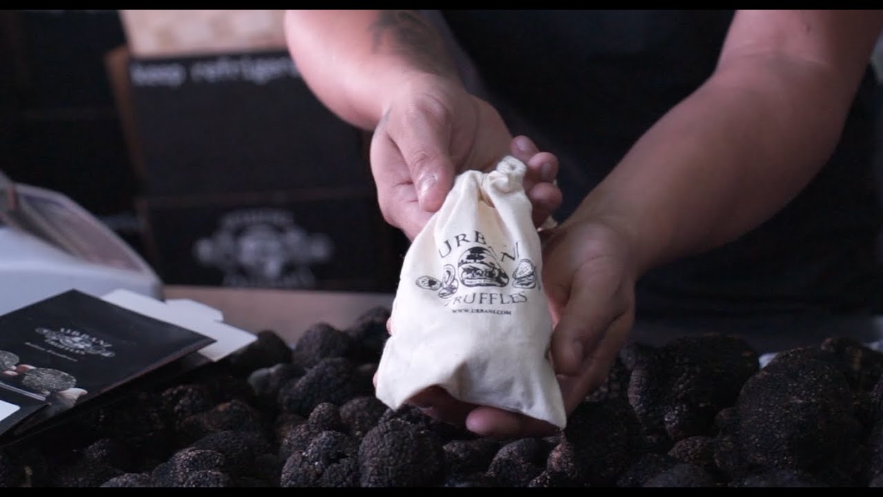 Packing Fresh Truffle Order | Urbani Truffles - YouTube
