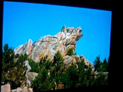 Disney California Adventure - YouTube