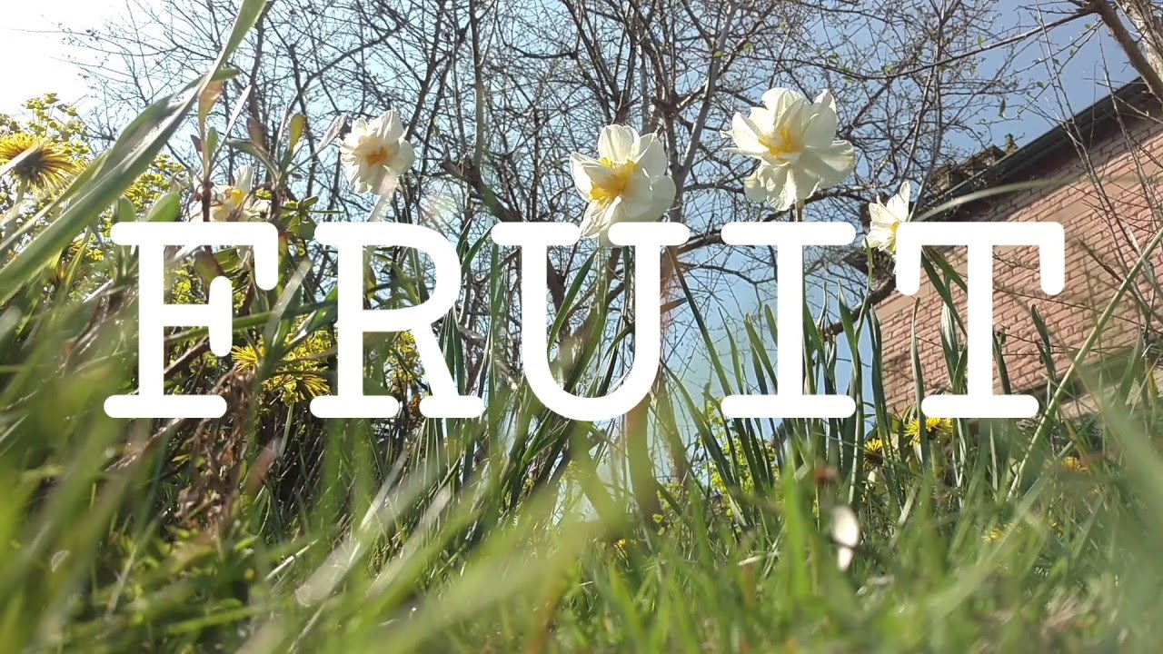 FRUIT - a fiction by Ollie Francis - YouTube