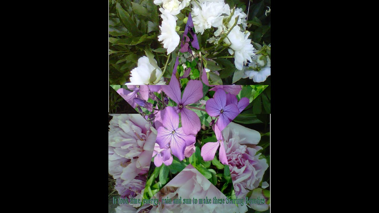 Rush Joel.mp4 THANK YOU LORD Minister Calvin Randolph, Jr -Accompanist ...