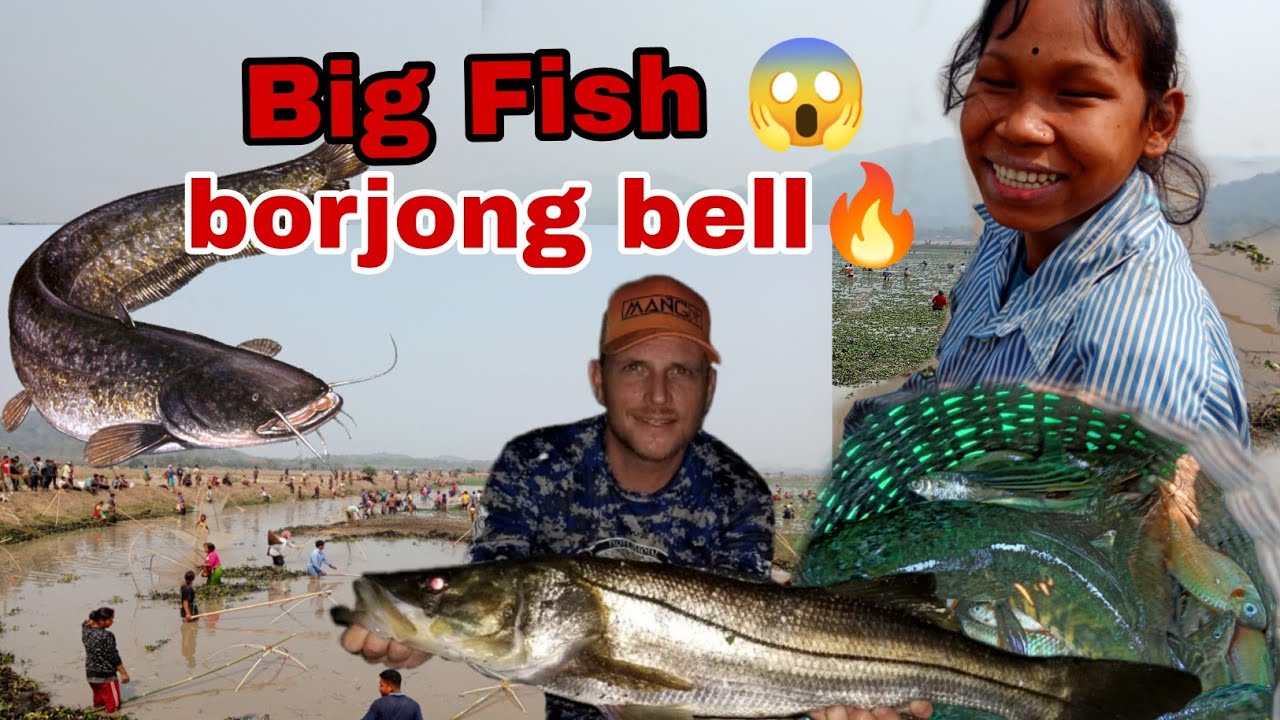Borjong bell 😍 Fishing 🎣|| Compitition 🔥🔥 2024😱 #fishing #fish # ...