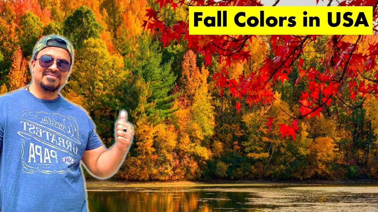 Amazing fall colors in Illinois | Road trip in Illinois is beautiful ...