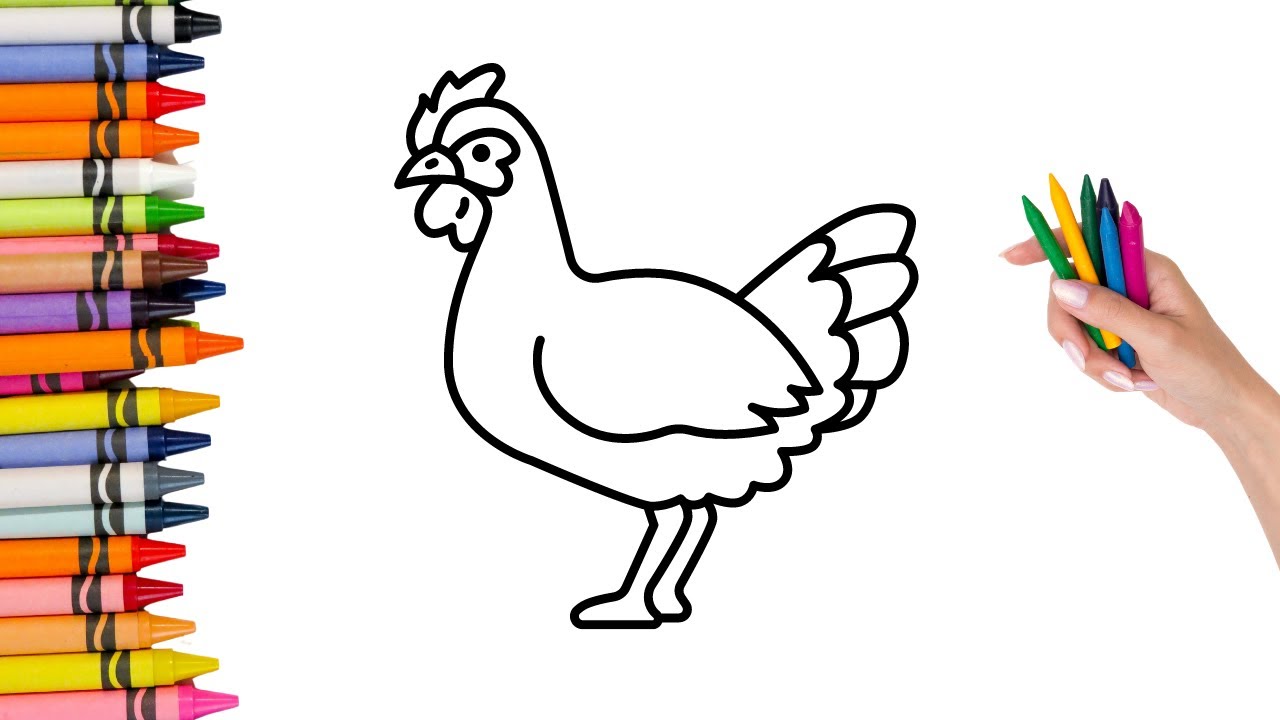 How to draw and color a Chiken | how to draw art for kids hub - YouTube