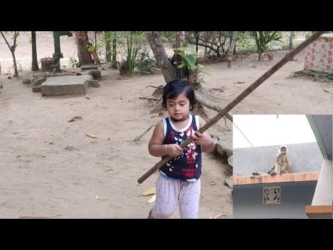 Mokshita Is Beating Monkey 🐒. Mokshita Fight With Monkey 🐵. - YouTube