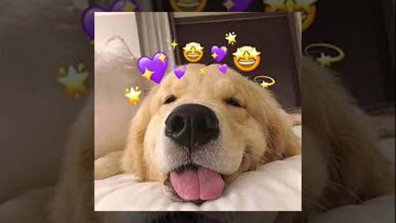 Willow Smith - Wait a Minute! (Sped up to Perfection) - YouTube Music