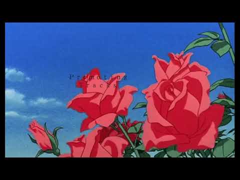 Jackie Xan - To The Girl With Red Converses [Lyrics]