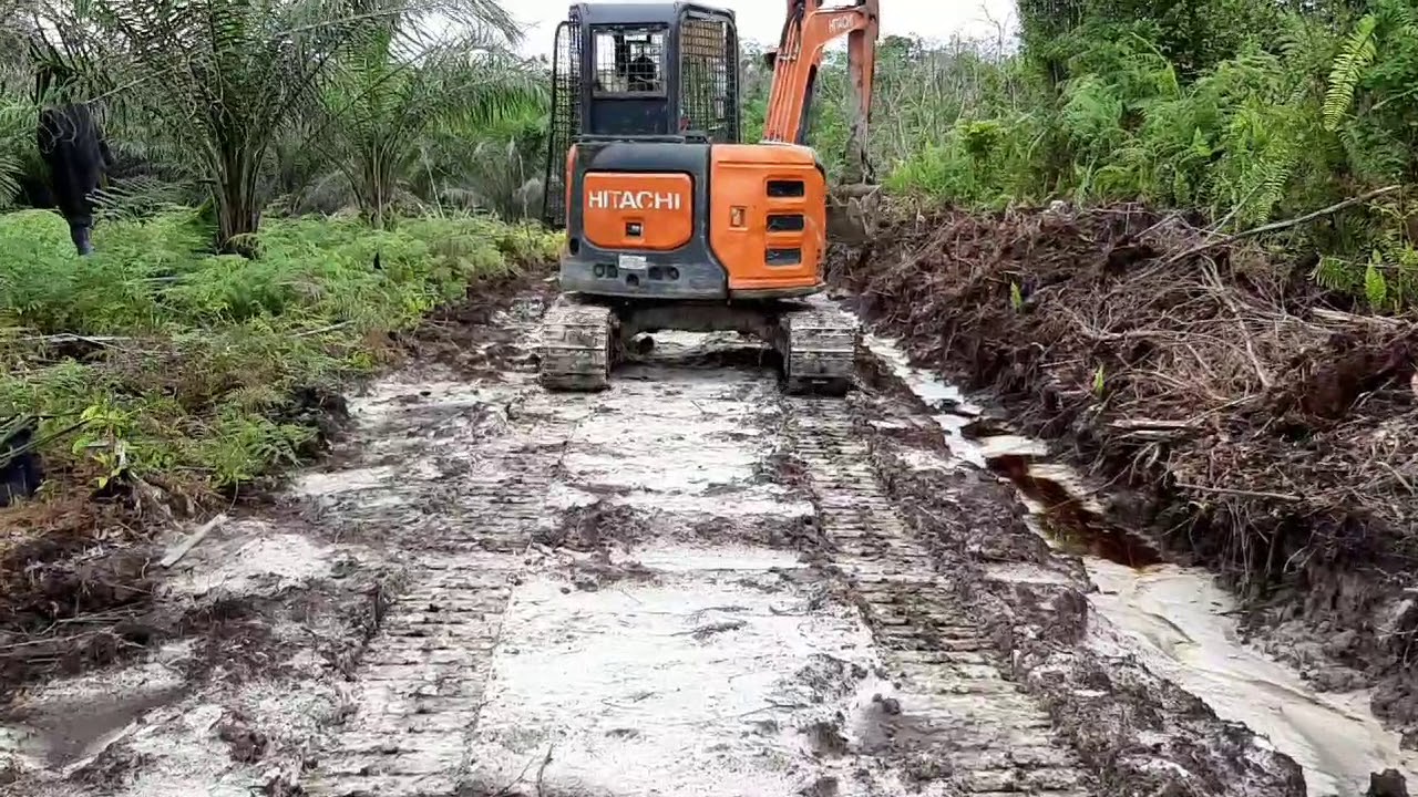 Adu Kuat tenaga Exsa Mini sama Pohon Sawit - YouTube