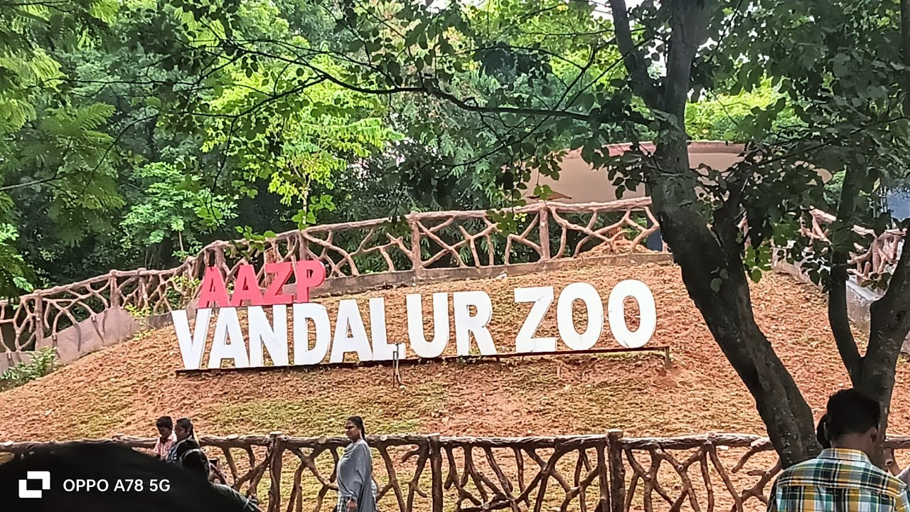 vandalur zoo in chennai #followers 2024#viralvideo #chennai # ...