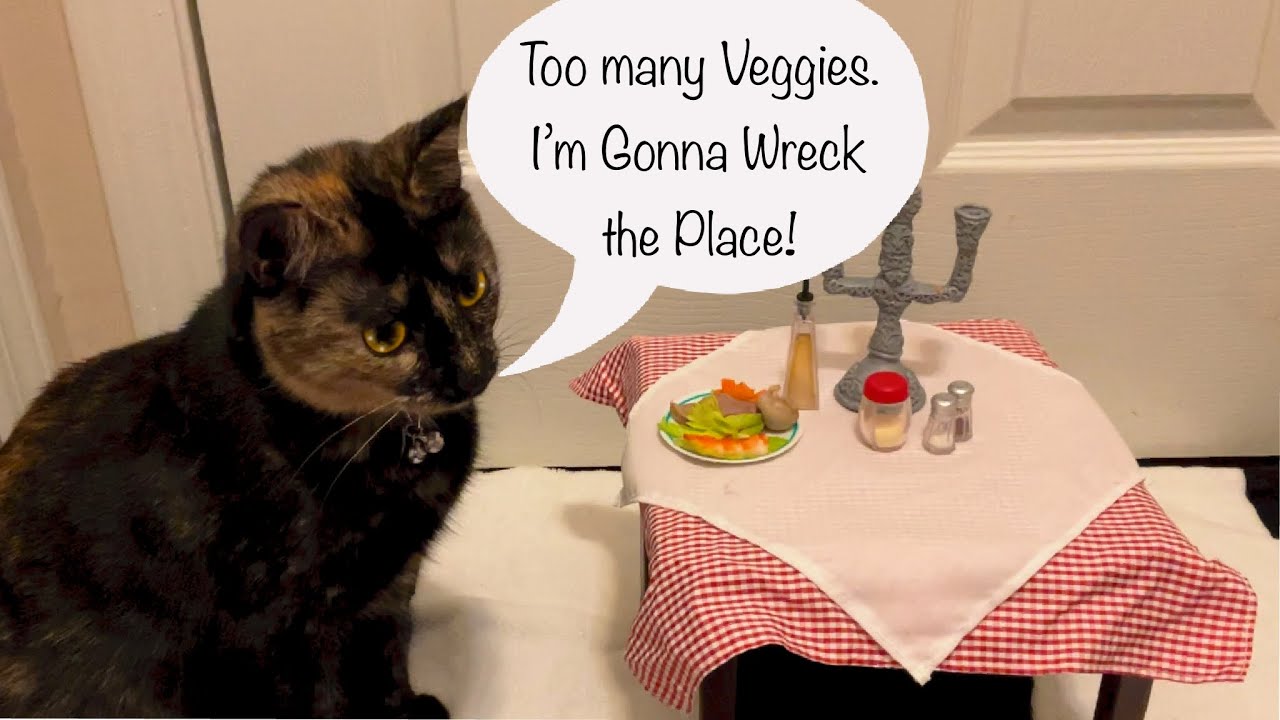 Sybil the Talking Cat Critiques Surf and Turf - YouTube