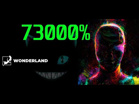 ¿Mejor momento para comprar Time en Wonderland? Tiene futuro o es un ...