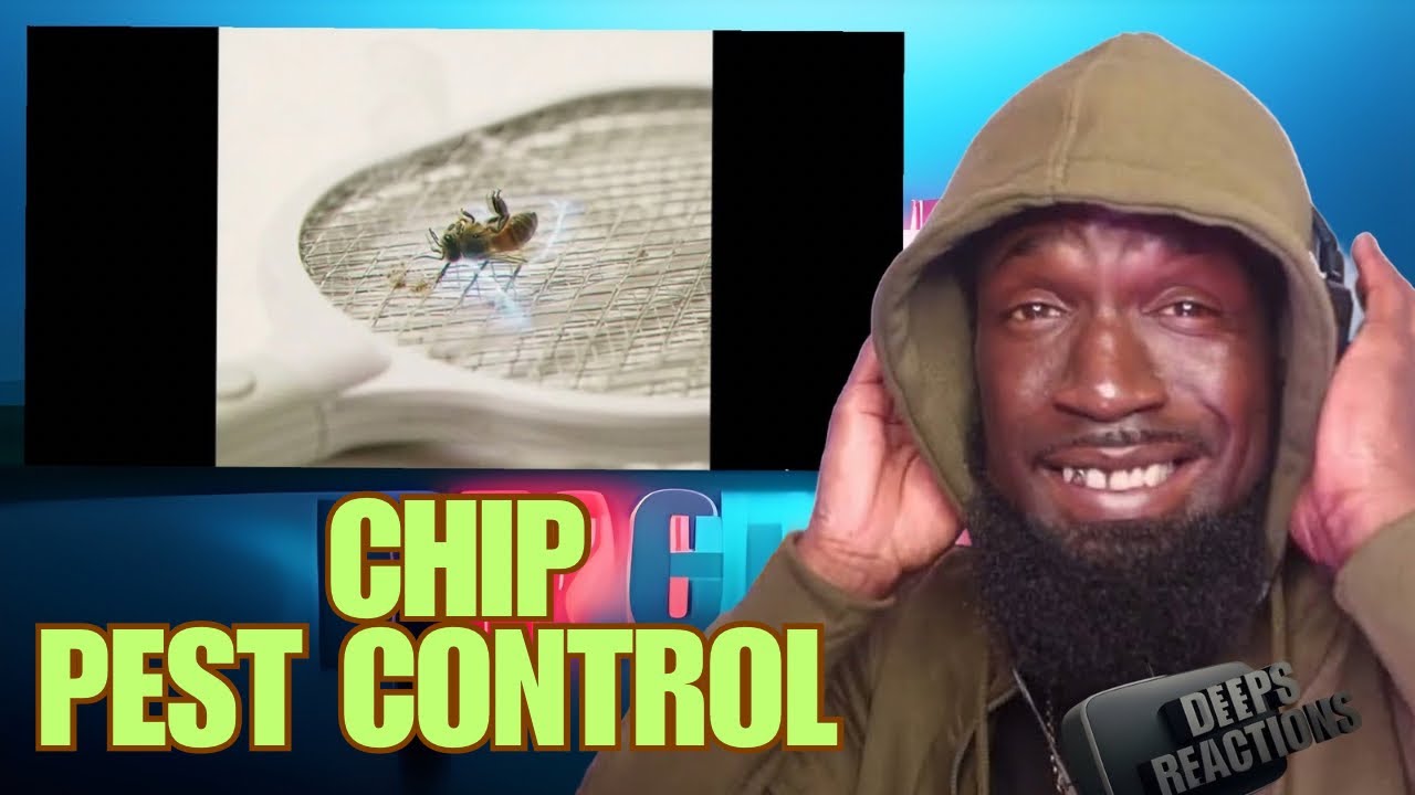 CHIP - PEST CONTROL (VISUALISER) DEEPSSPEAKS (REACTION) - YouTube