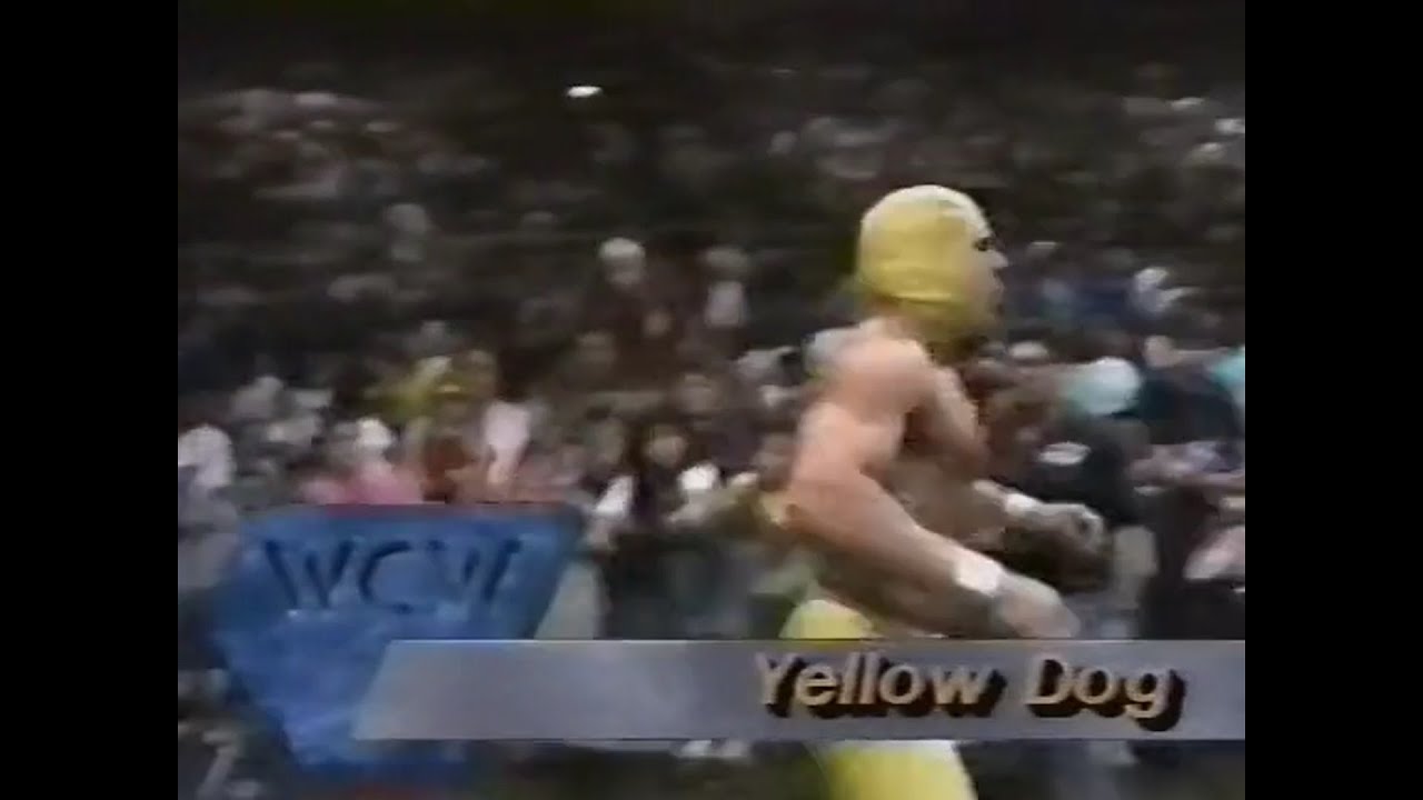 Yellow Dog vs Diamond Studd Saturday Night July 27th, 1991 - YouTube
