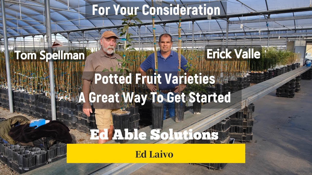 For Your Consideration The Value Of The Potted Fruit Program From Dave ...