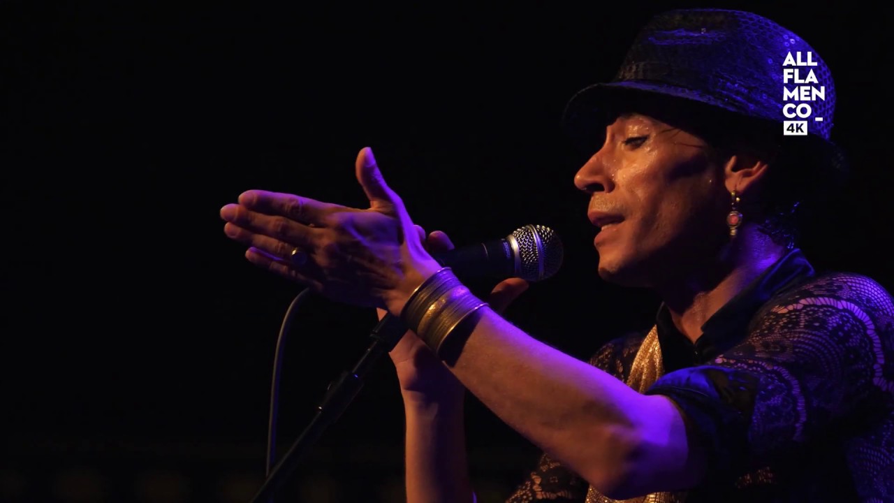 El Mawi de Cádiz en "SON POR BANDERA" (4/4) | ALL FLAMENCO 4K - YouTube