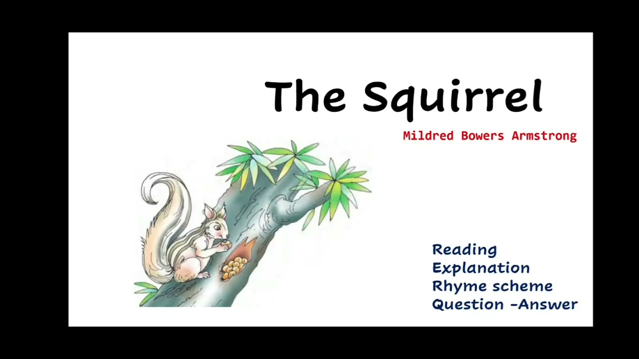 The Squirrel Class 7 Poem 1 Honeycomb - YouTube