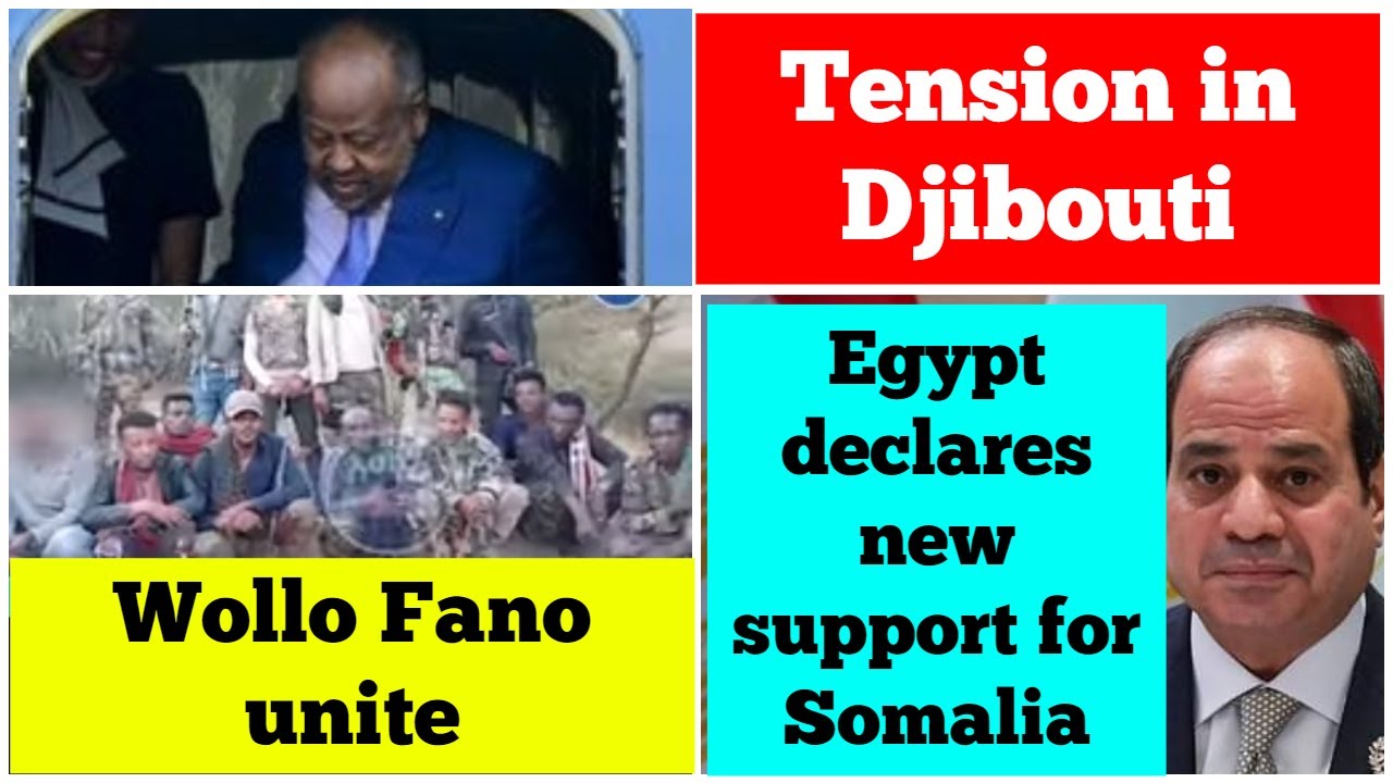 Tension in Djibouti | Egypt announces new support for Somalia | Wollo ...