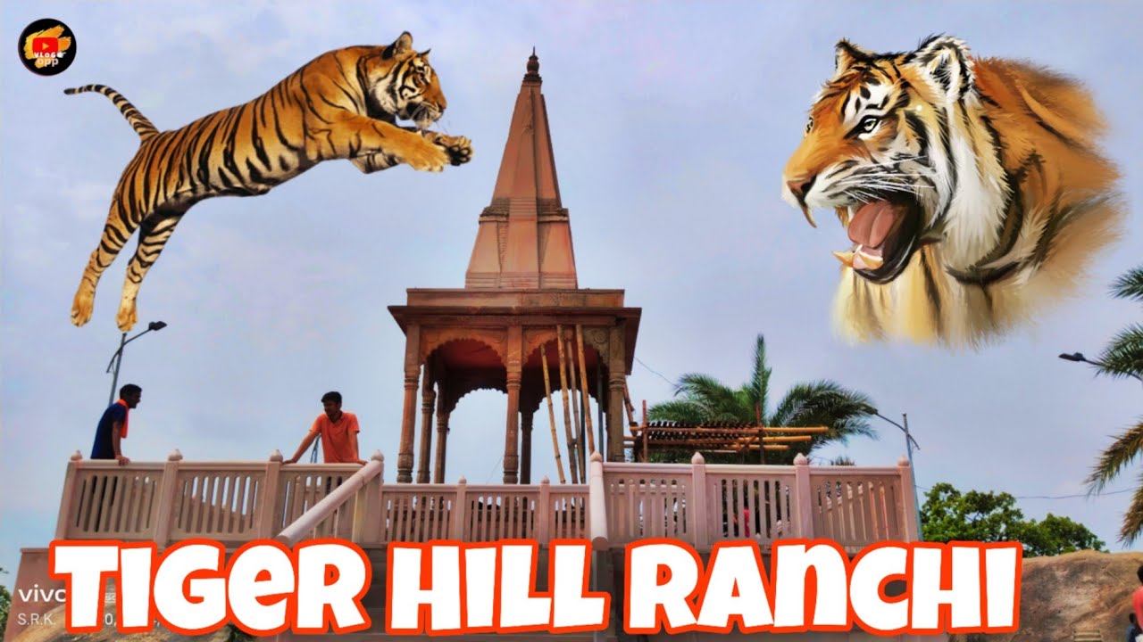 Tiger Hill Ranchi || Viral Tiger Vlogs || Opp Vlogs - YouTube
