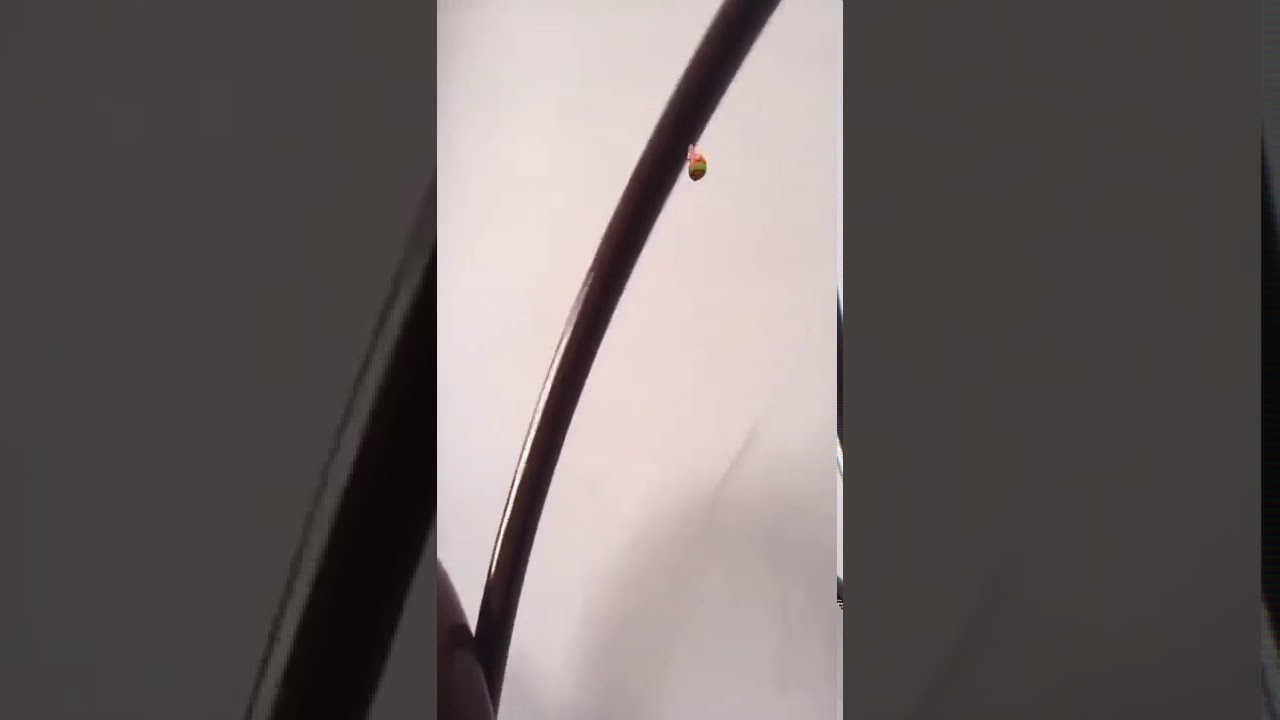 Patricio flotando meme - YouTube