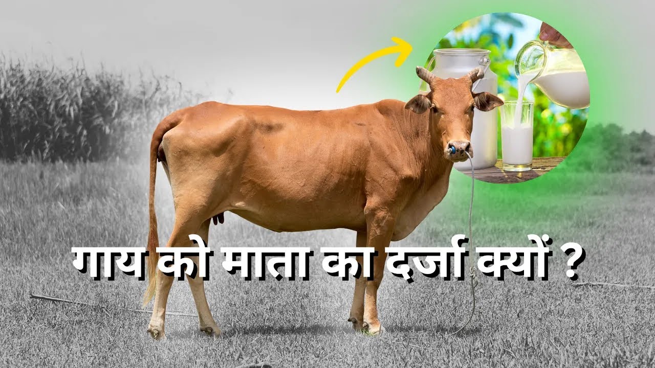 Why Hindus are the most Scientific people of World? Bharat Origin Cow ...