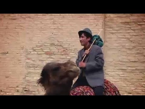 Janob Rasul | Жаноб Расул - 420