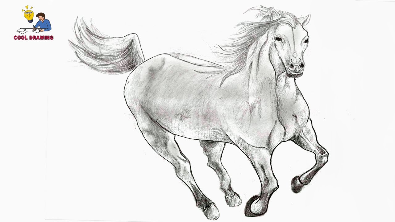 How to draw a horse | Drawing horse | Pencil sketch drawing | Drawing ...