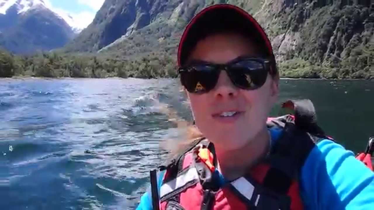 Kayaking in Harrison's Cove, Milford Sound, Fiordland - YouTube