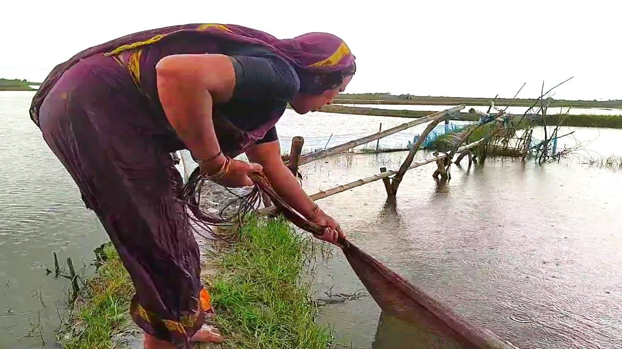 Cast Net Fishing || Village Amazing Woman Catching Fish With A Cast Net ...