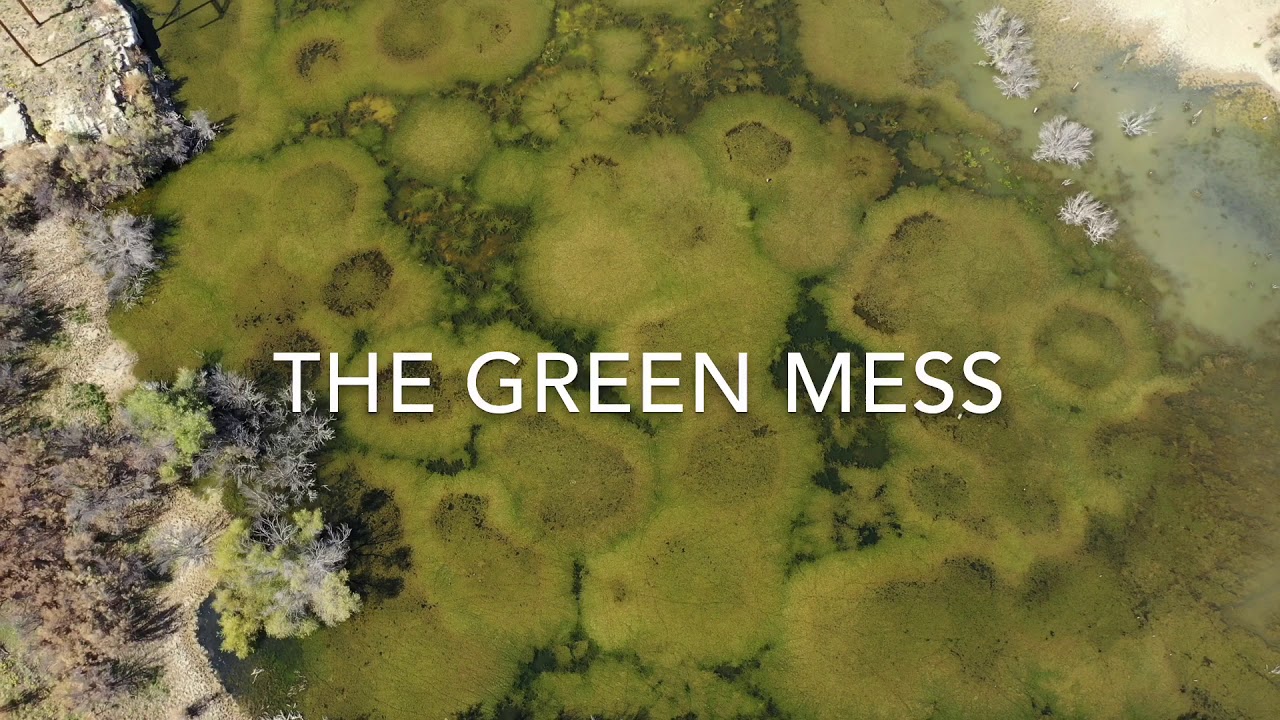 My Movie 1The Green Mess - YouTube